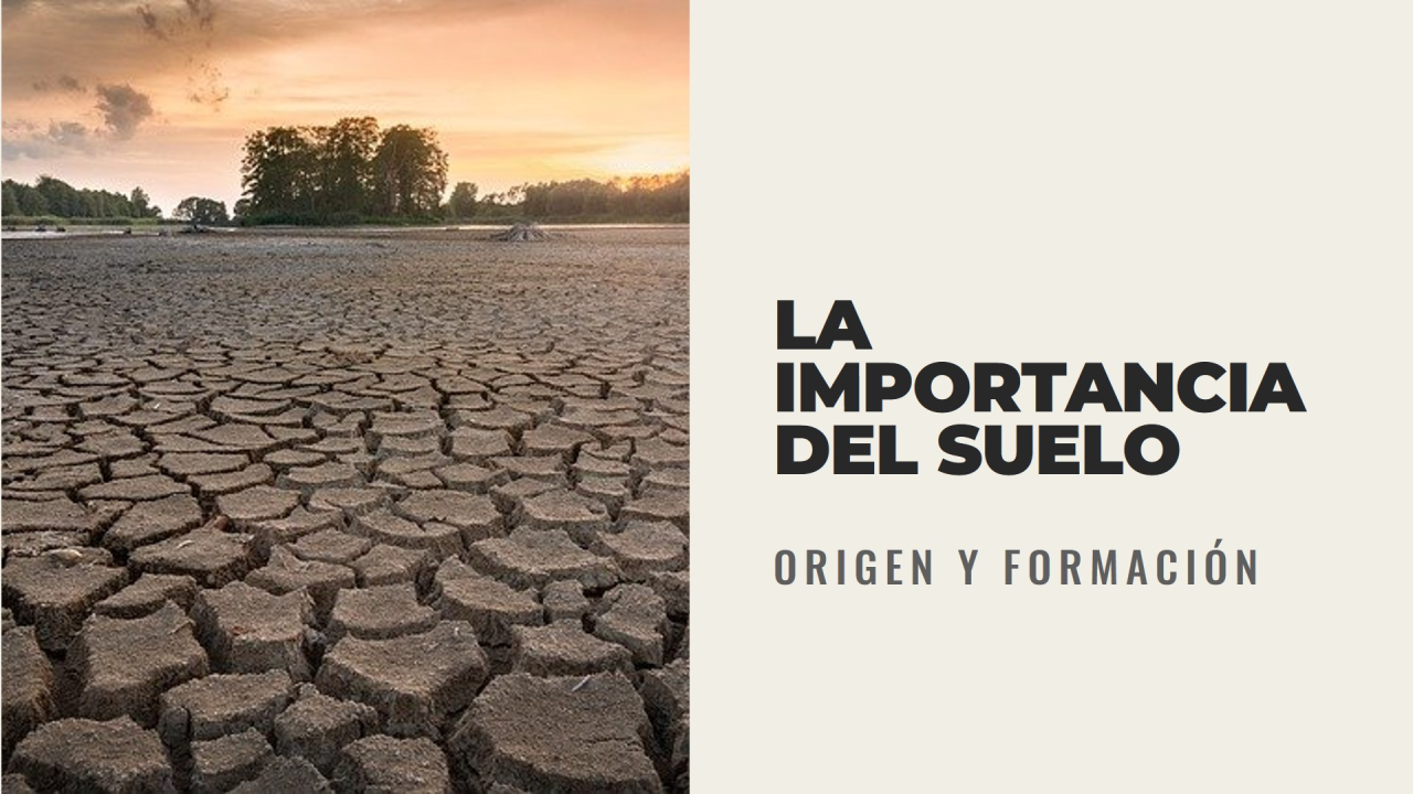 Origen Y Formación De Los Suelos Centro Geotécnico Internacional